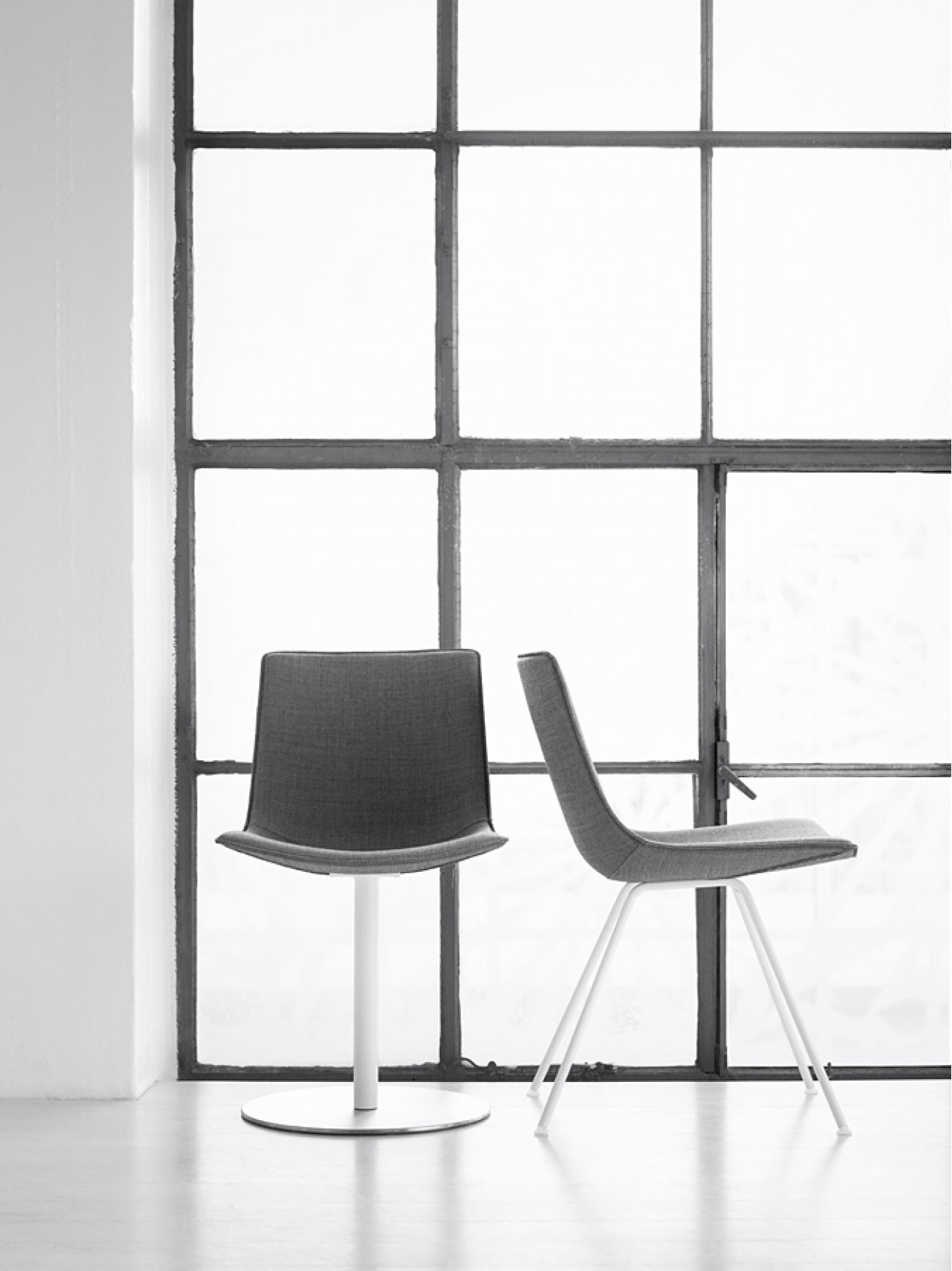 Katalog | Chairs | Comet Chair